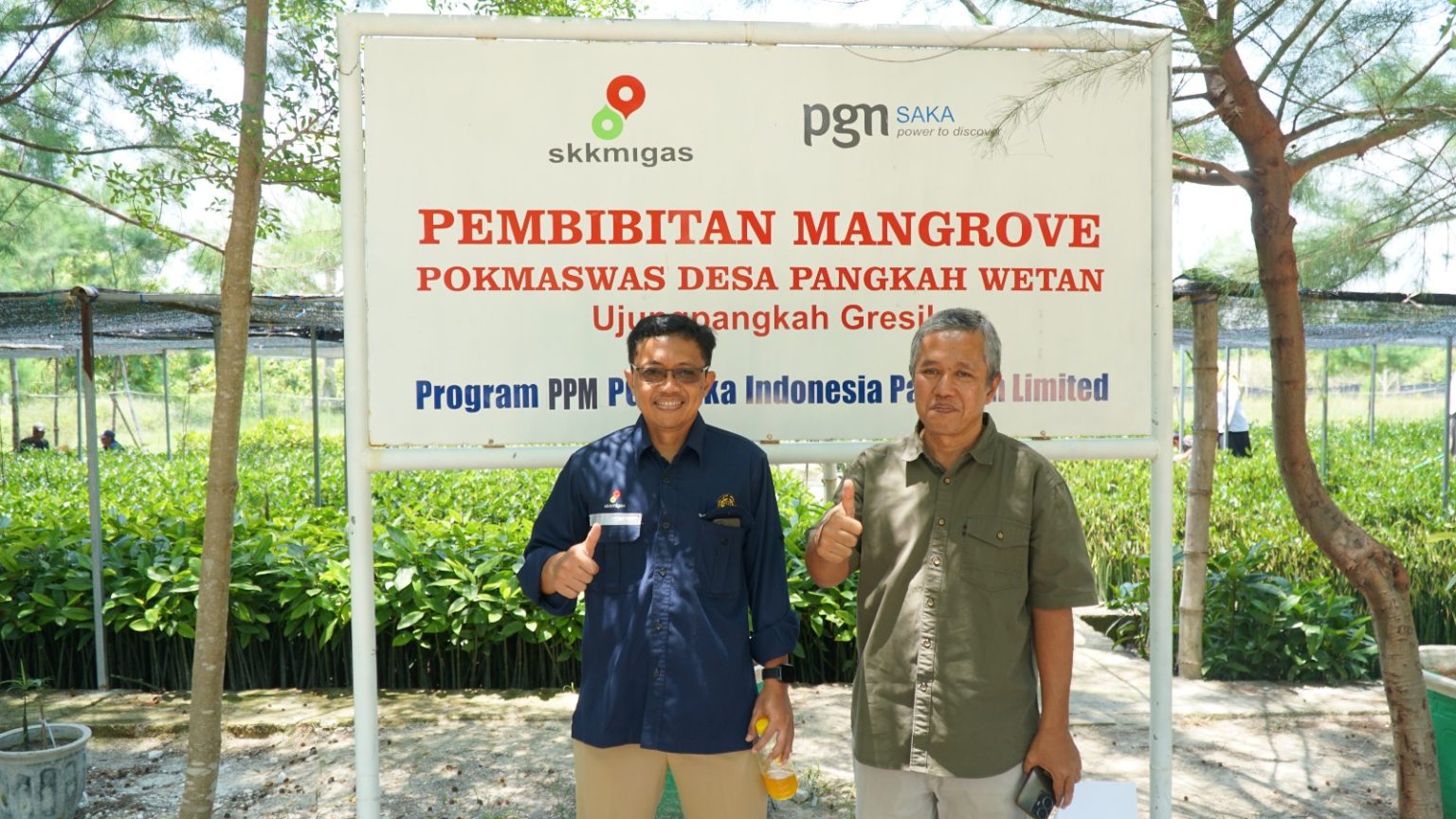 Saka Indonesia Pangkah Limited Realisasikan Program PPM Mangrove di ...